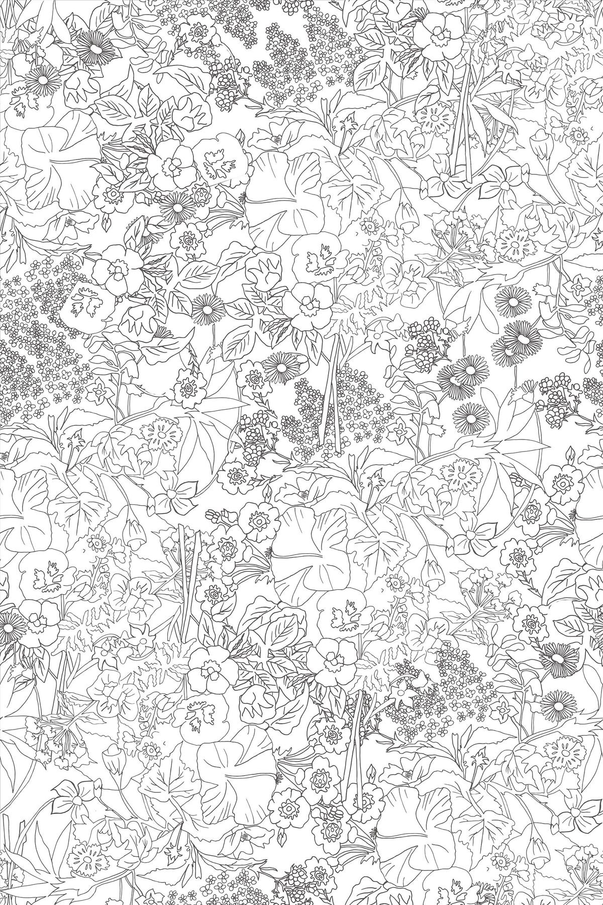 wallpaper to colour in